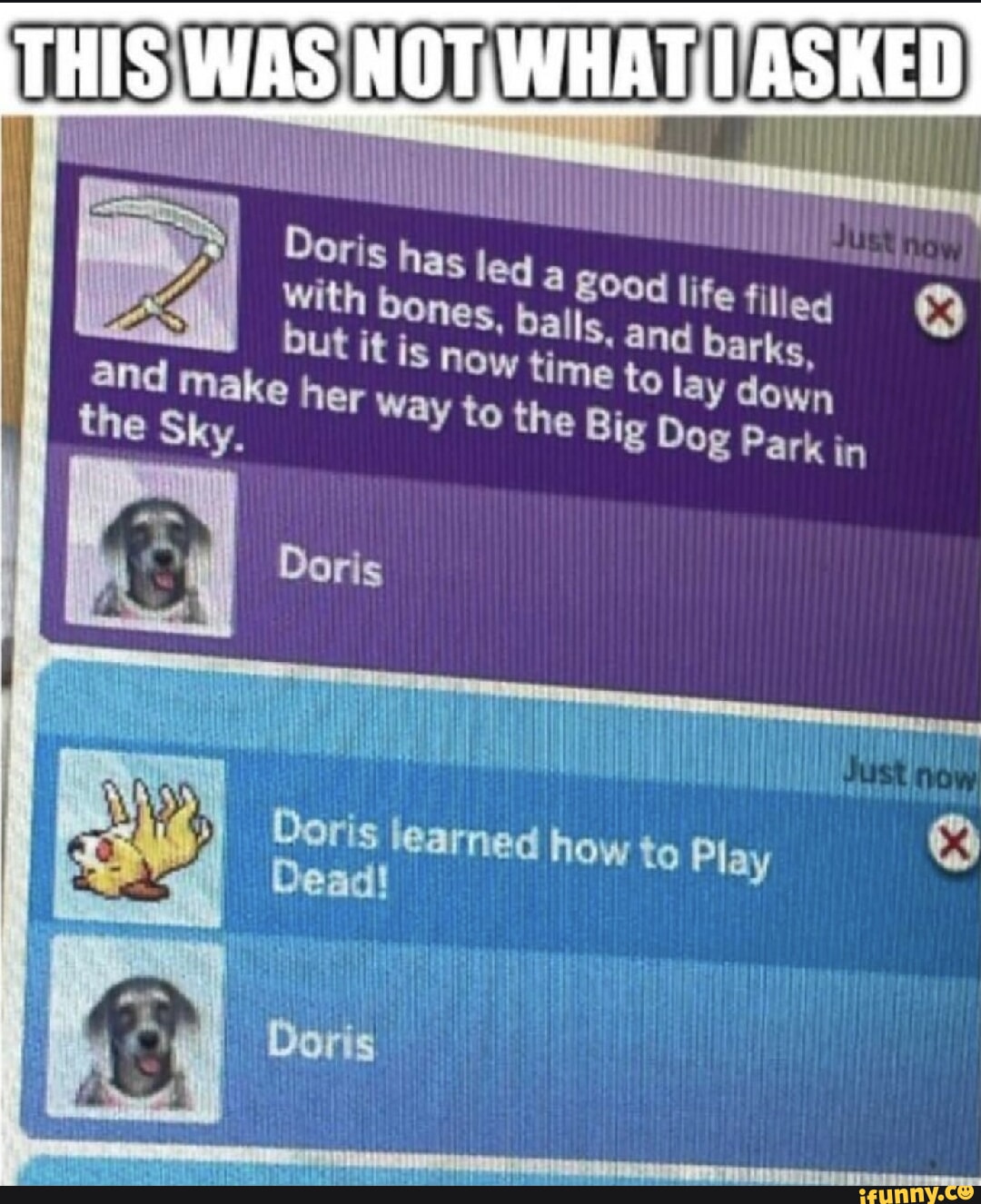 Answer and Explanation: Robin Hood may not have ever fought in the ...